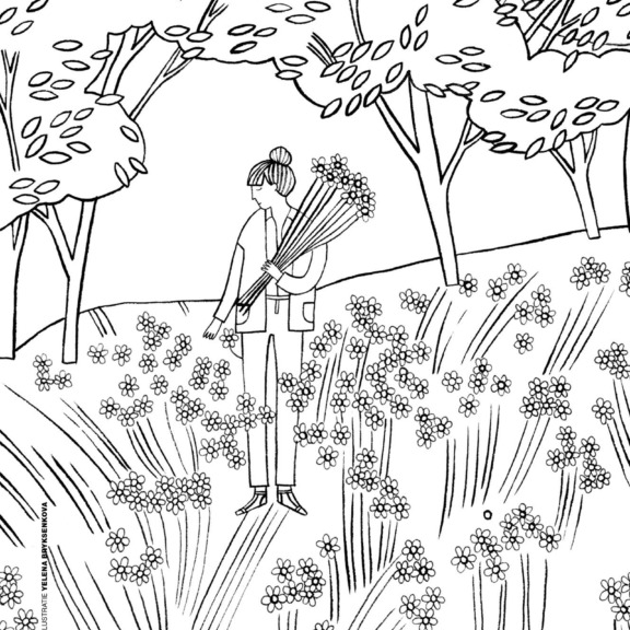 Cards Archive - Flow Magazine - en